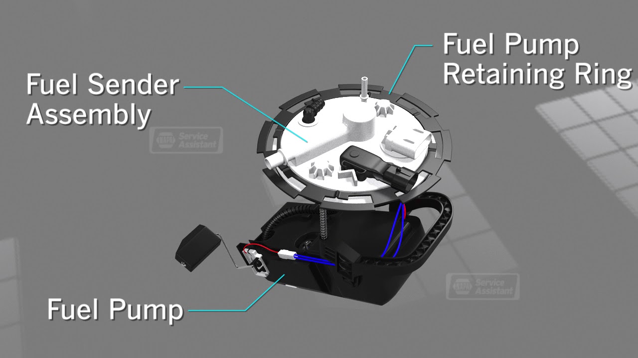 Fuel Injection Pump Animation At Fernande Frank Blog