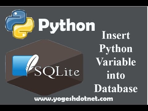 Inserting Variables To Database Table Sqlite3 With Python 3 Lecture