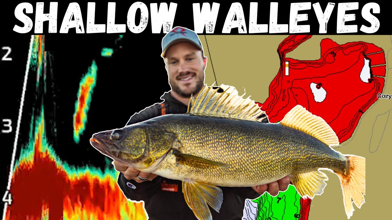 Jigging Shallow Spring Walleyes 2 6 Feet Locations Presentations