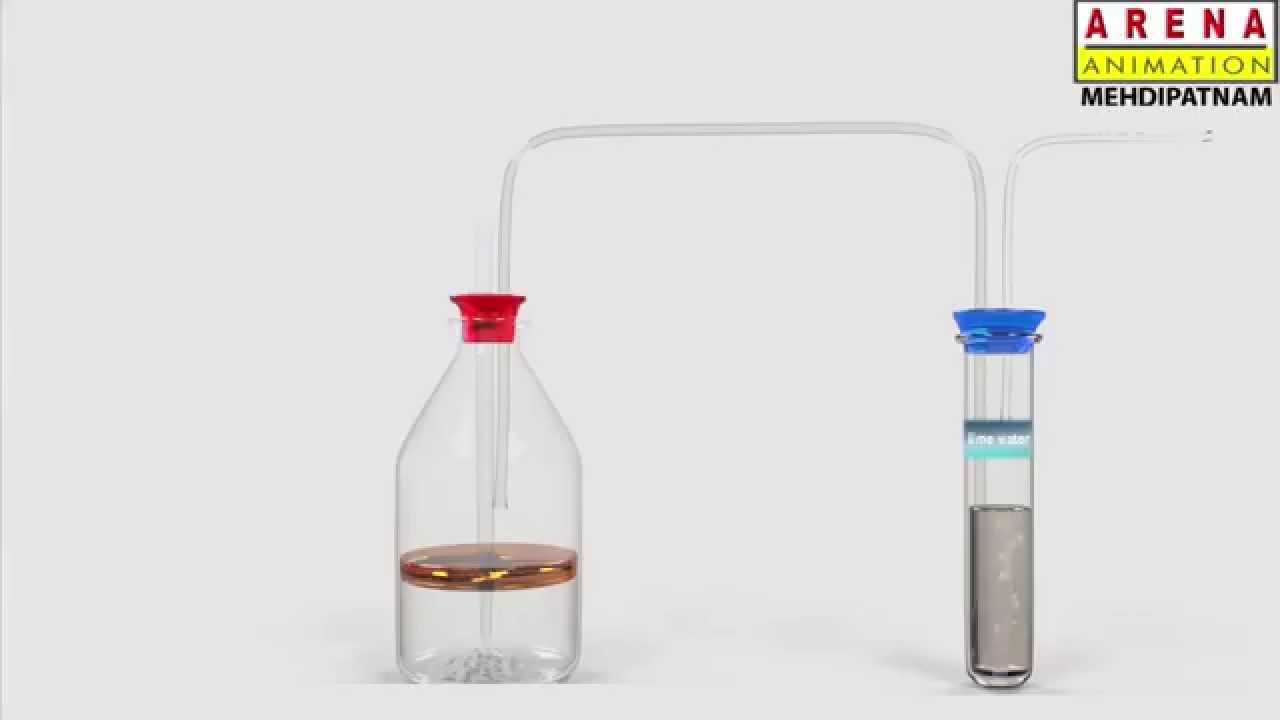 Experiment With Yeast Youtube