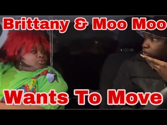Brittany Jazz Memes