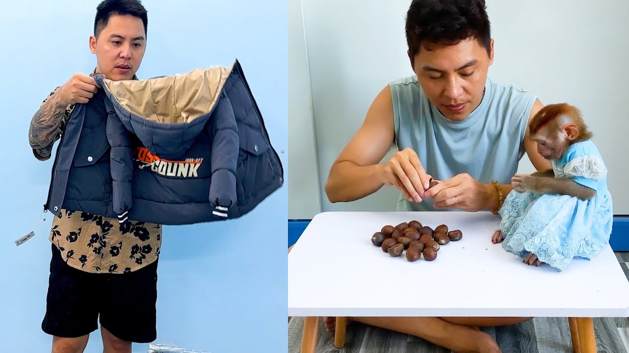 Monkey Kaka Family S Charity Trip Pushed Back Youtube