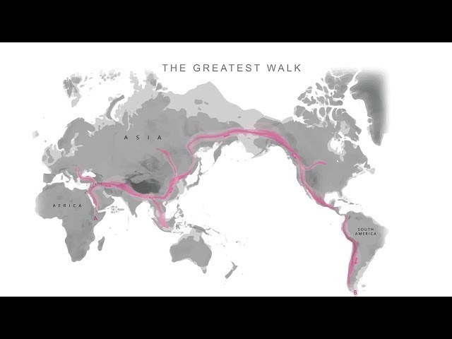 Human Evolution Migration Map