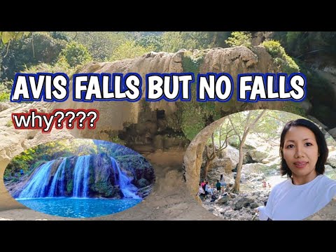 Avis Falls But No Falls ёяшг Let S Go For An Adventure To Find Out Whyёяшк