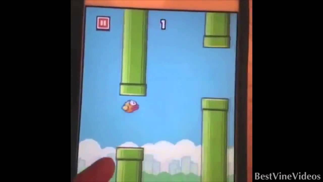 Flappy Bird Vine Compilation Flappy Bird Rage And Freakouts Youtube