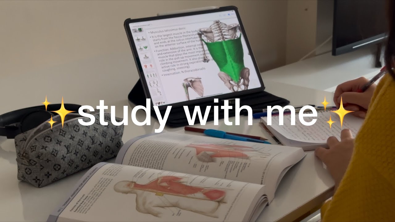 1 Hour Study With Me Background Noise Rain Sound 25 5 Youtube