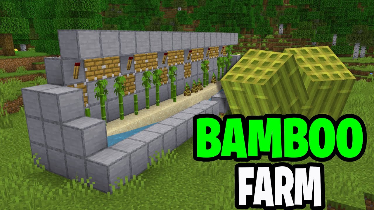 How To Make Automatic Bamboo Farm In Minecraft Bedrock Mcpe Xbox
