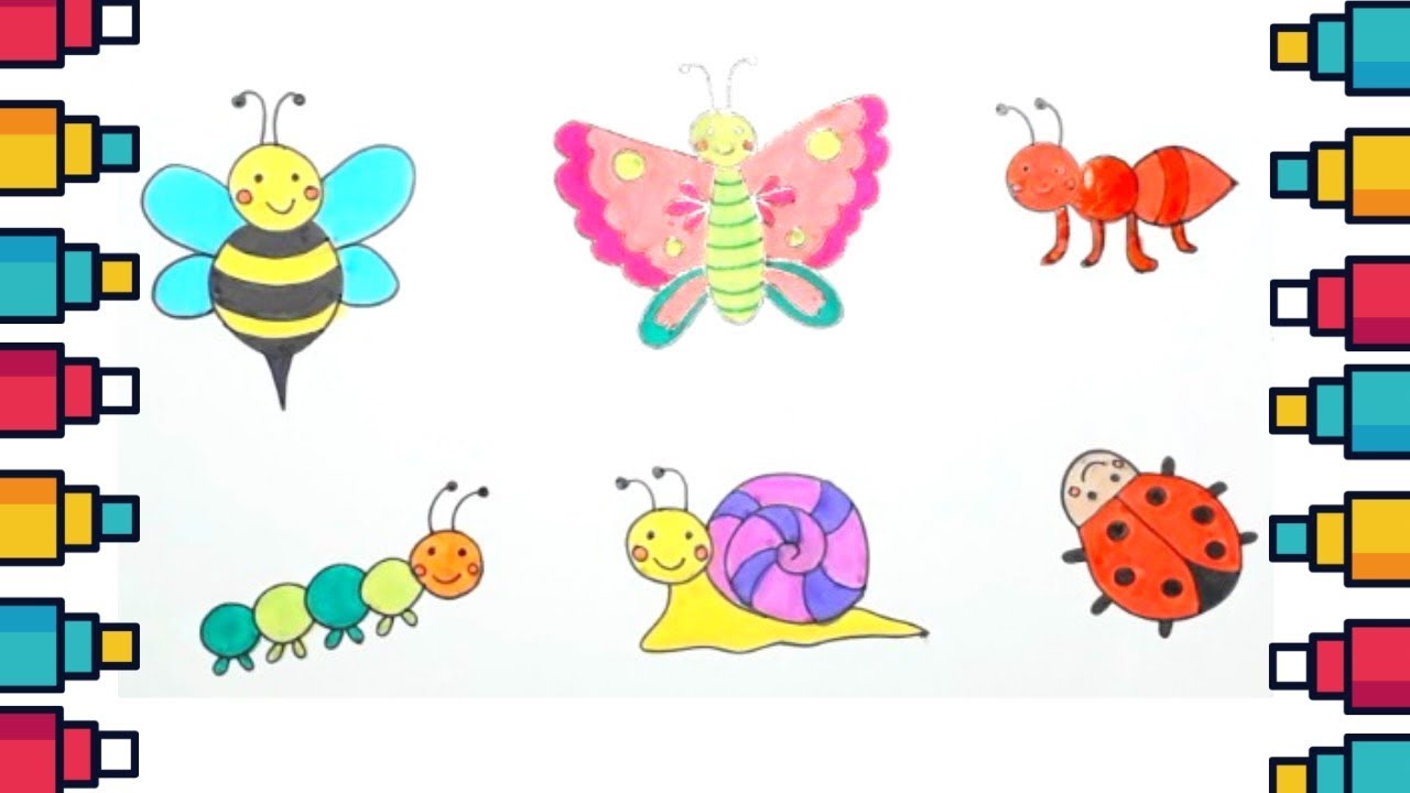Insect Drawing For Kids