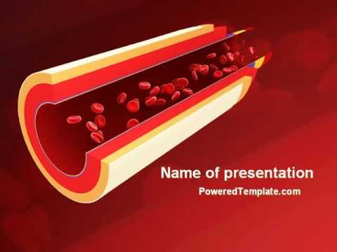 Blood Flow Powerpoint Template By Poweredtemplate Youtube