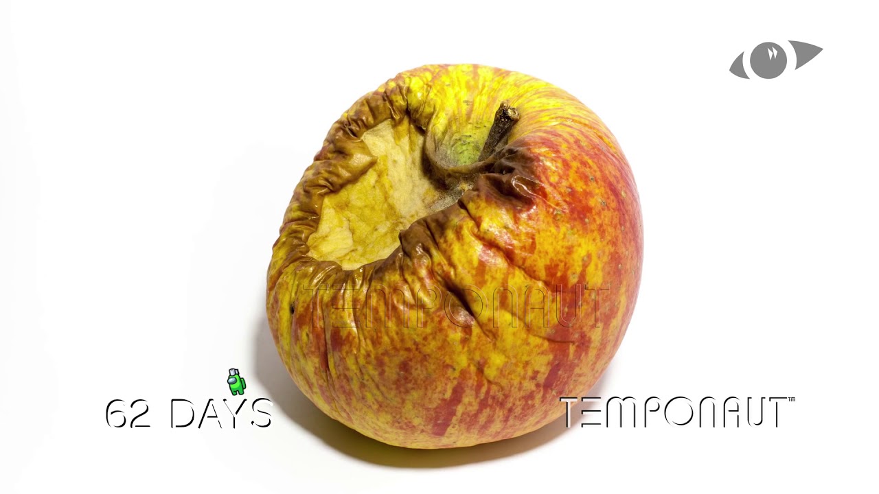 Apple Time Lapse Without Intro And Outro Youtube