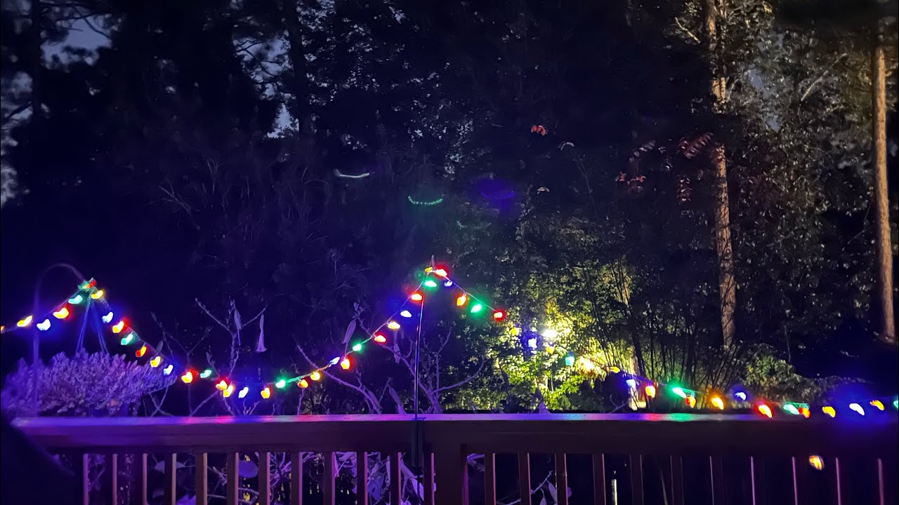 Ginag Cctv Is Live Backyard Bird Watching Youtube