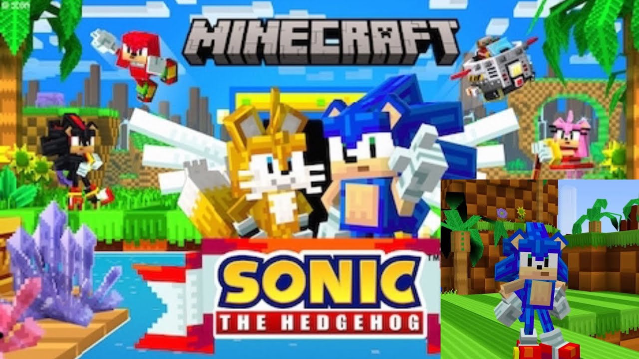 Sonic The Hedgehog In Minecraft Dlc Part One Youtube