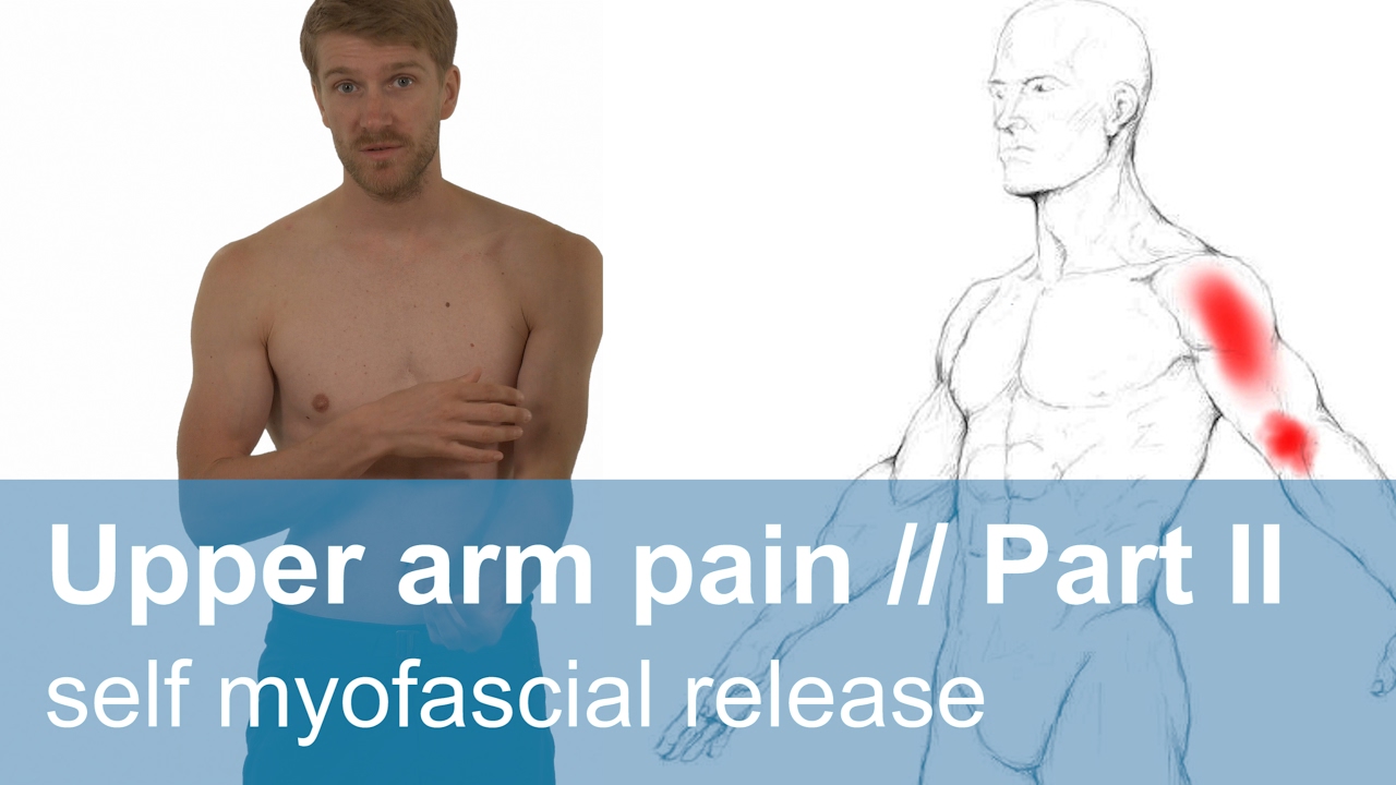 Muscle Pain In The Upper Arm Part 2 Self Myofascial Release Youtube