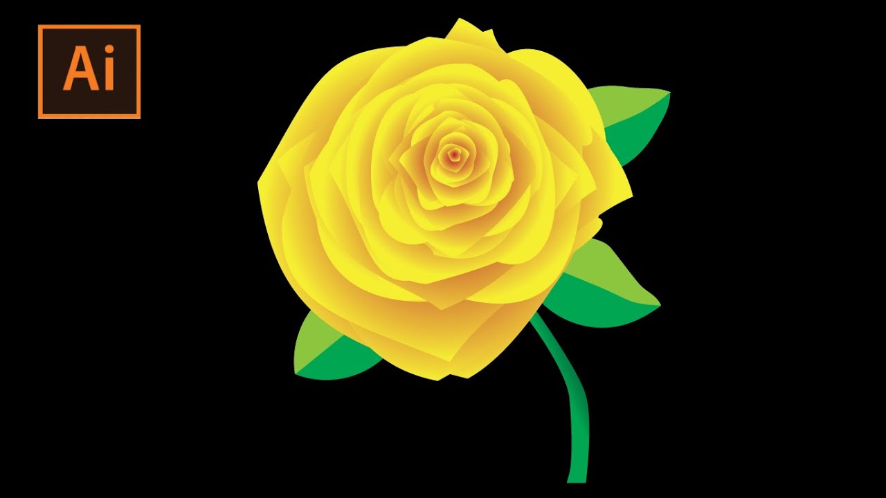 Rose Flower Drawing Adobe Illustrator Rose Graphicdesign Flowers