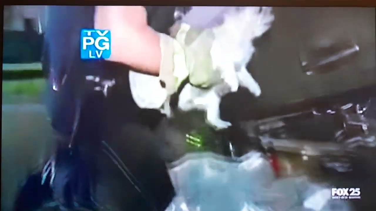 Cops Season 22 Intro 2010 Youtube