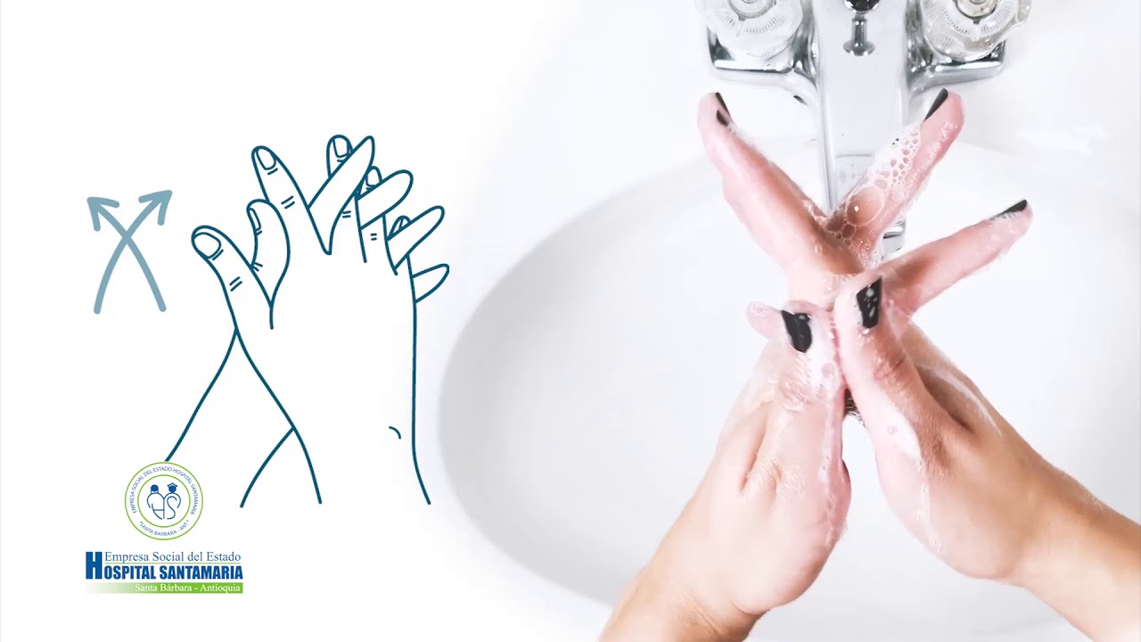Lavado De Manos Youtube