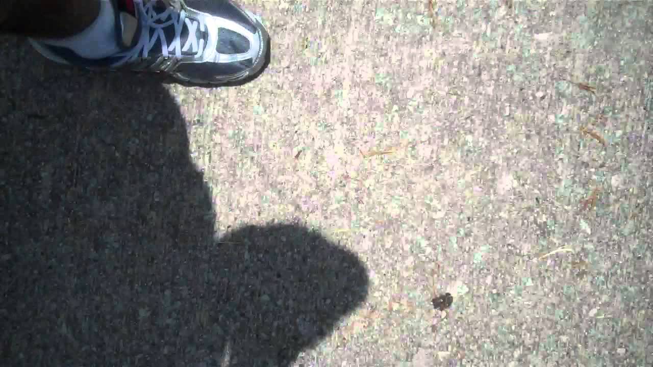 Vid00045 Mp4 Youtube