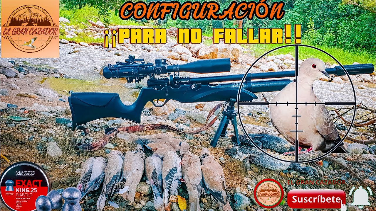 Caceria De Palomas E Iguanas Con Rifle De Aire Youtube