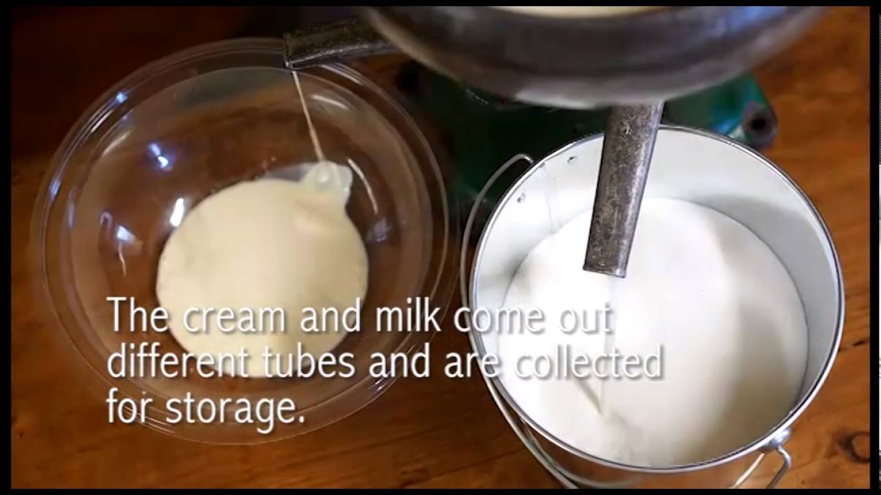 Centrifugation Of Milk