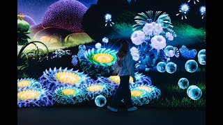 Ila Adelaide Attraction South Australia