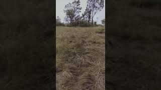 Pura Puncak Kedaton 2 276mdpl Puncak Gunung Batukaru Tabanan Bali ...