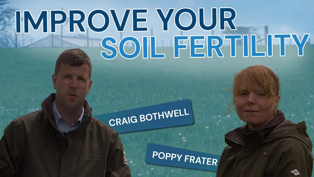 Improve Your Soil Fertility Youtube