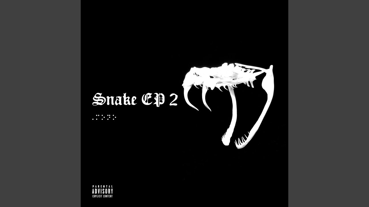 Did You Notice Youtube