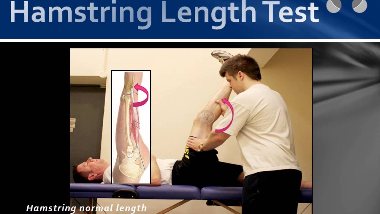 Hamstring Test Youtube