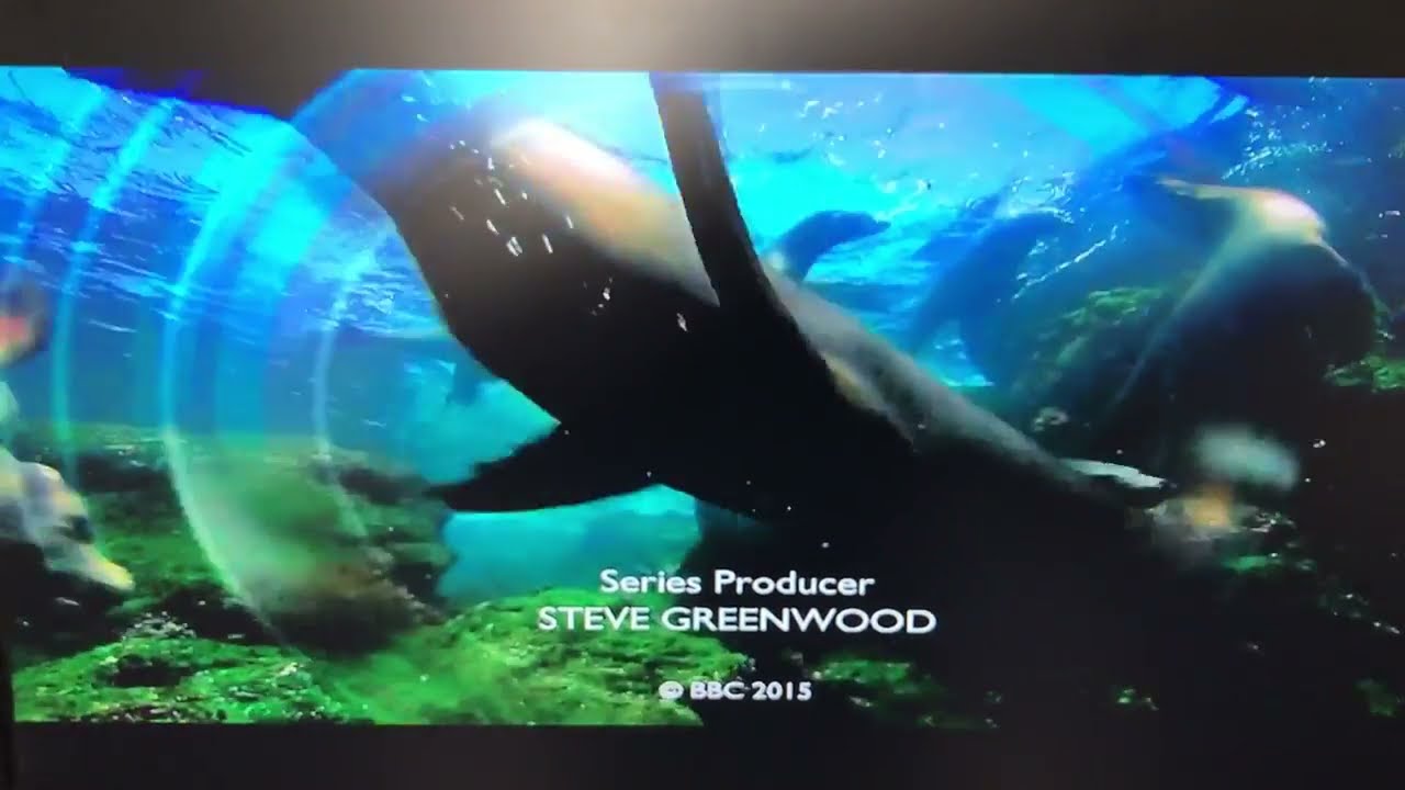 Bbc Earth 2015 Logo Youtube