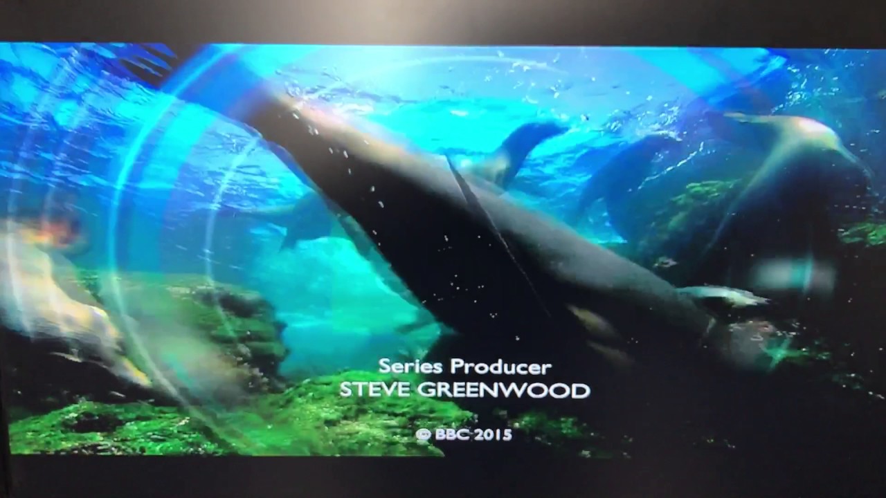 Bbc Earth 2015 Logo Youtube