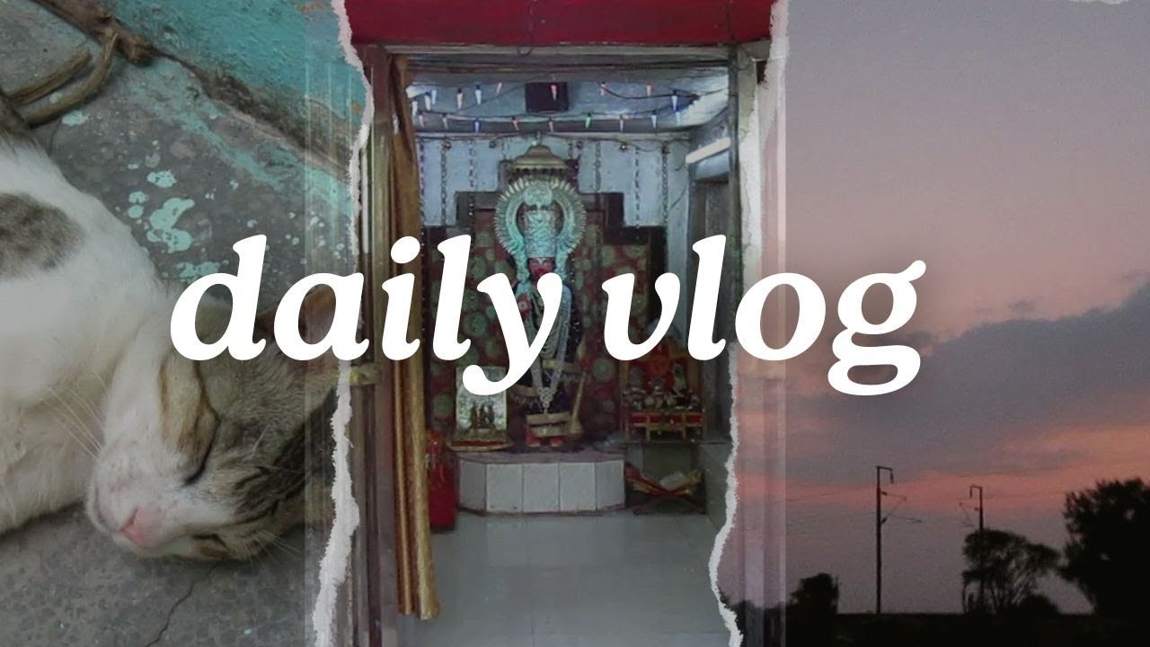 Daily Vlog Youtube