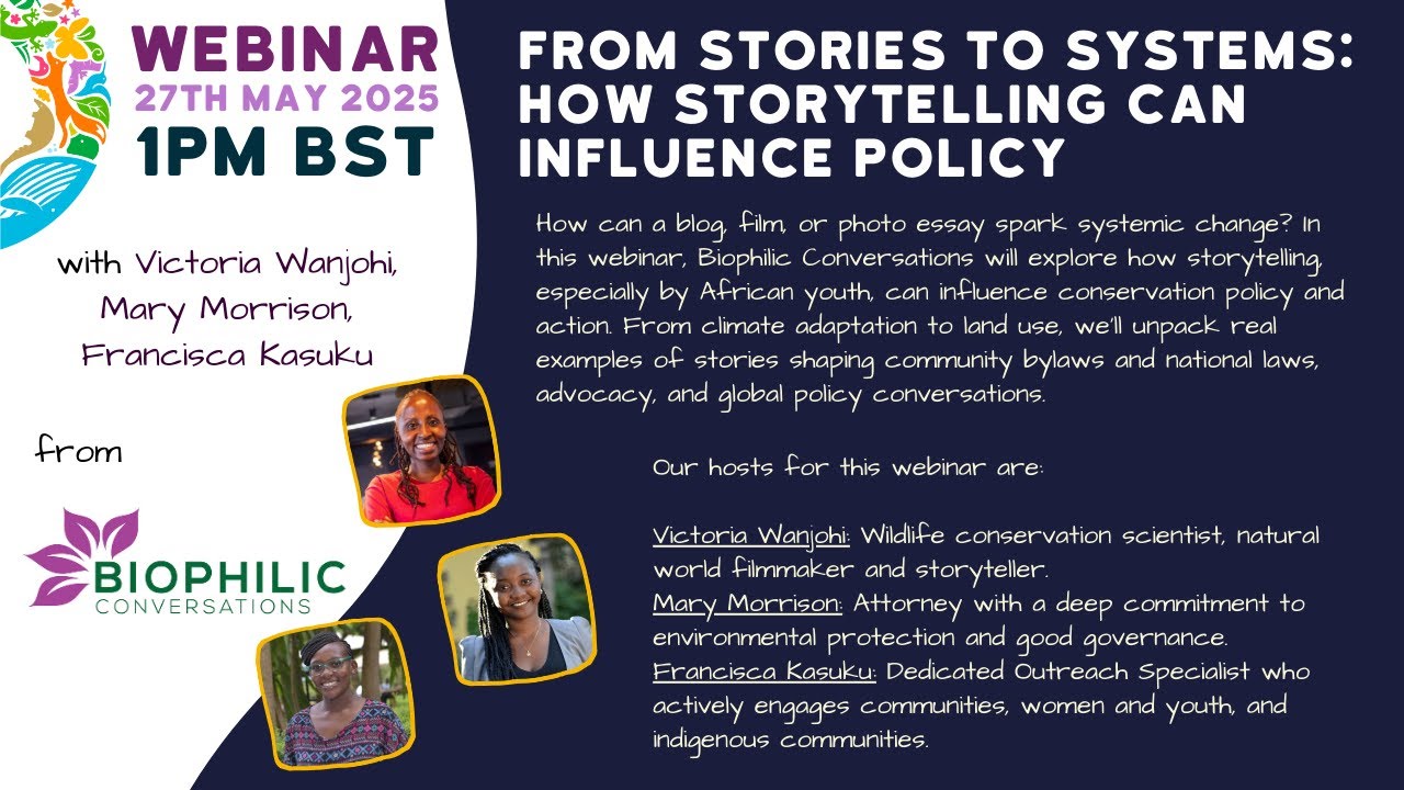 Webinar From Stories To Systems How Storytelling Can Influence Policy
