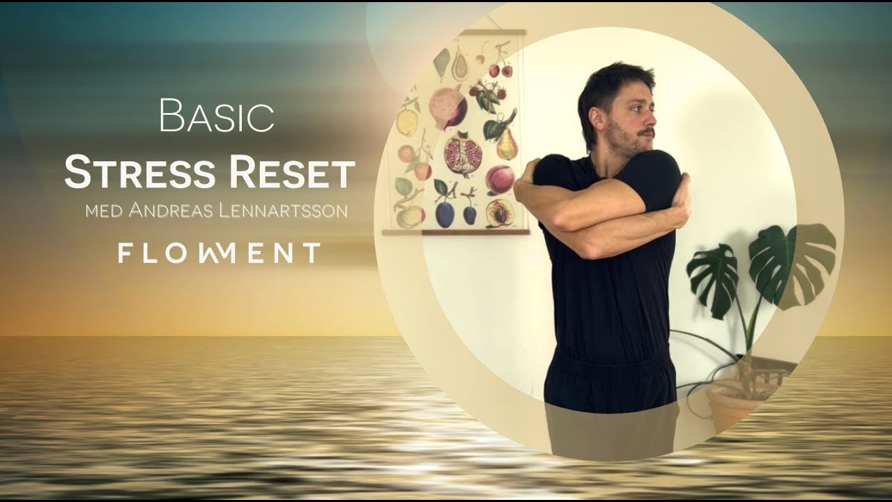 Human Garage Stress Reset Basic Pã Svenska Med Andreasâ Flowment Youtube