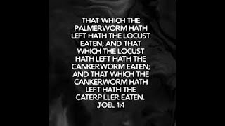 20 07 2025 Palmerworm Locust Cankerworm Caterpillar Tbbc Sa The Bible ...