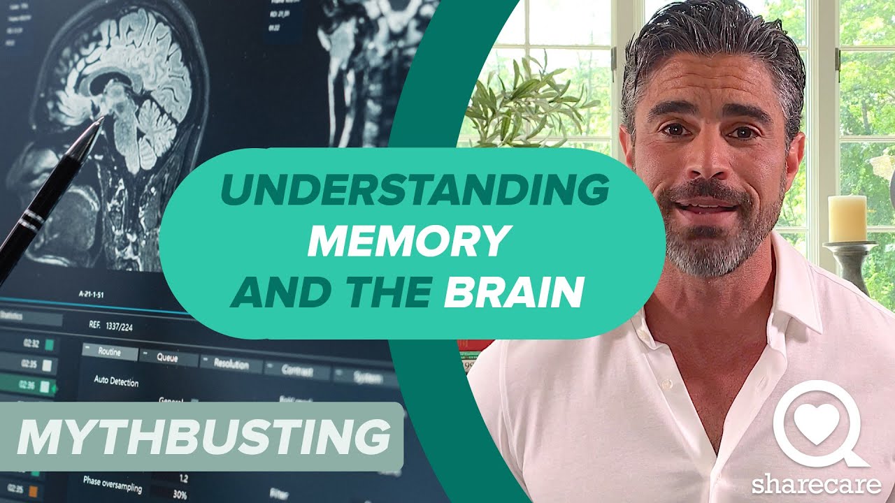 Do Memory Hacks Really Work Understanding Memory And The Brain