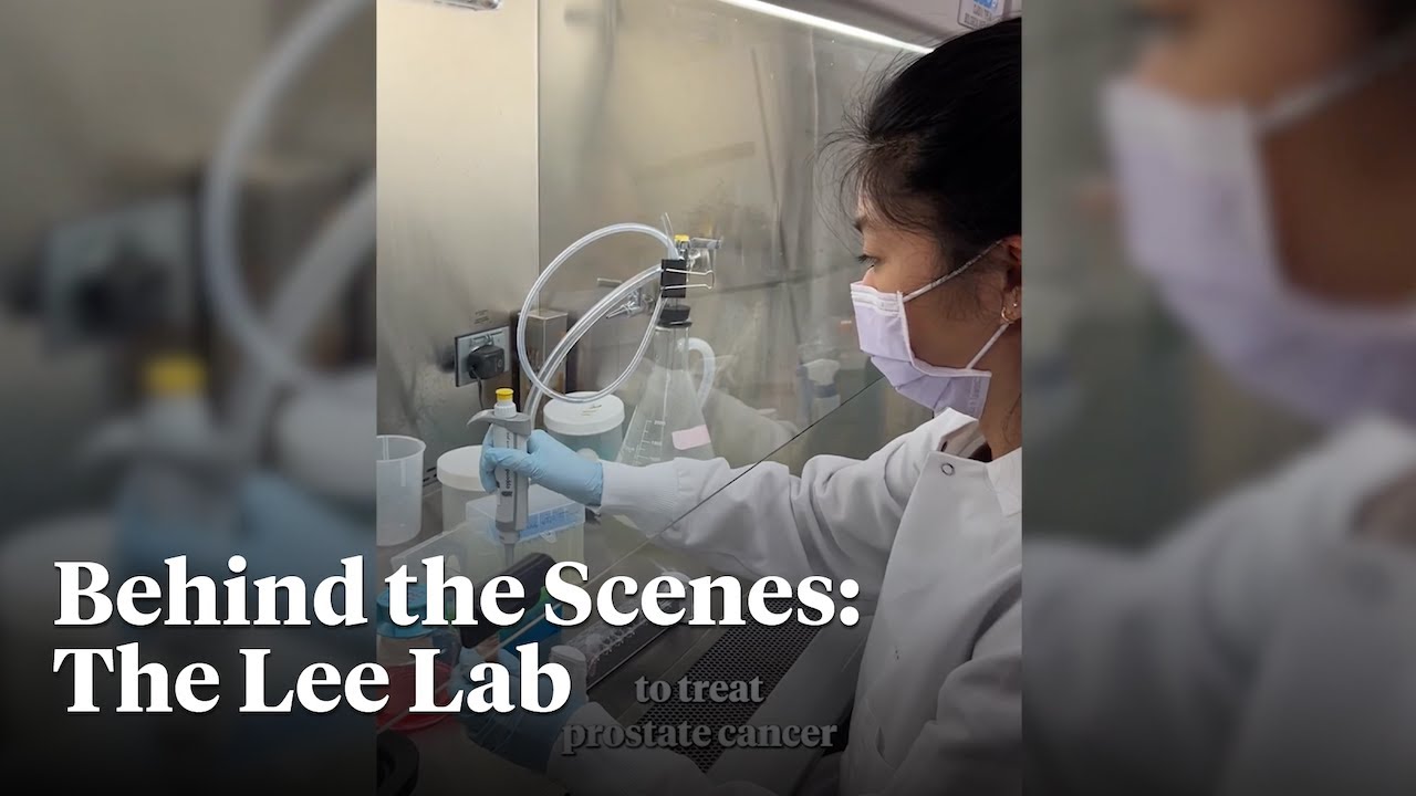 Behind The Scenes The Lee Lab Youtube