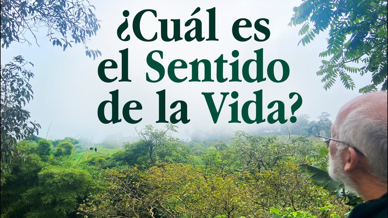 Sentidodelavida El Sentido De La Vida Journeys Within
