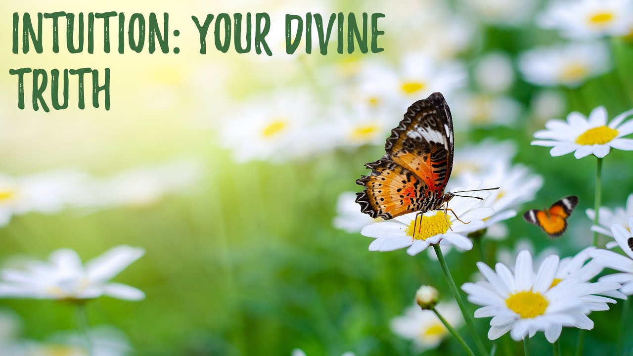 Intuition Your Divine Truth Youtube