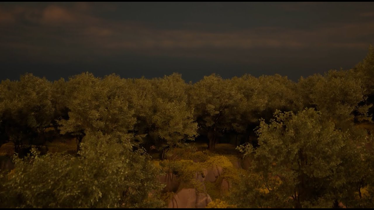 Environment Youtube