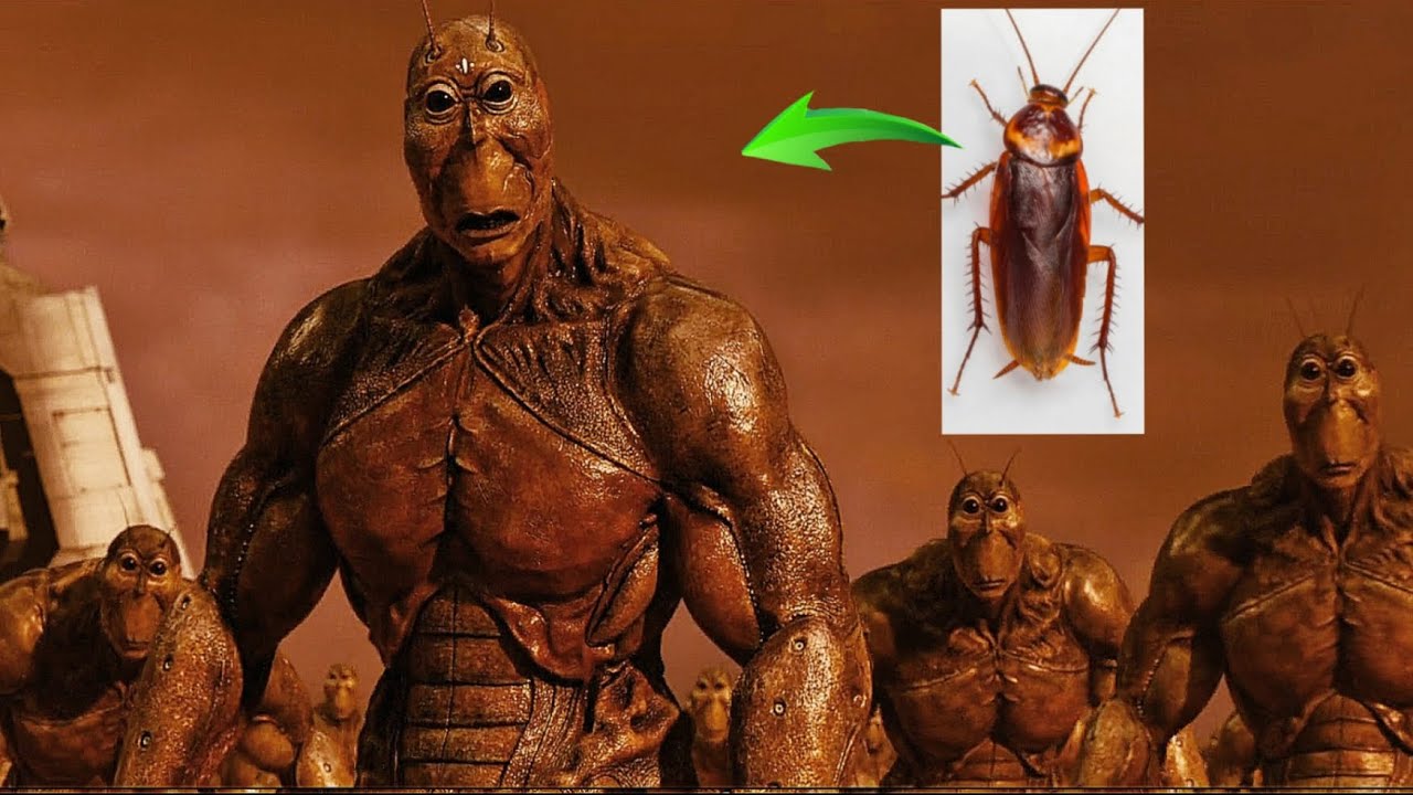 Cockroaches Have Evolved Into Terrible Monsters 500 Years After Being