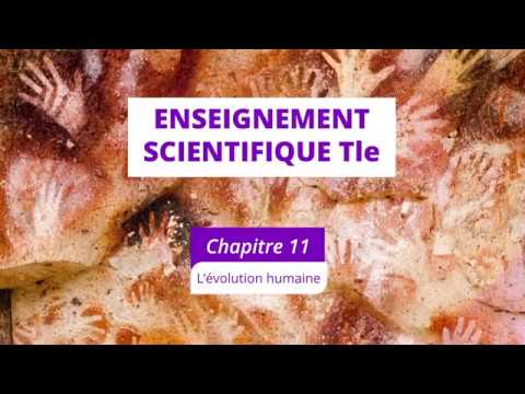 Smartprof L évolution Humaine Enseignement Scientifique Tle