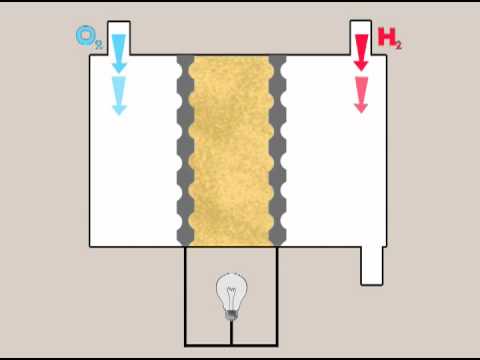 Fuel Cell Animation Youtube