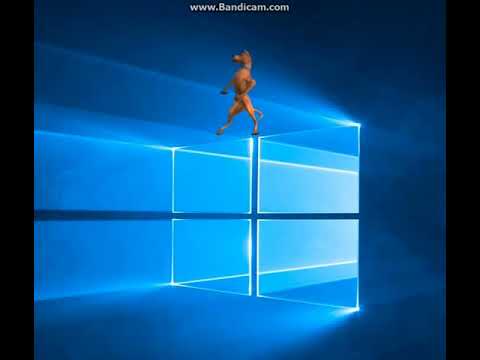 Scooby Doo Dancer Plus Dances At Windows 10 Youtube