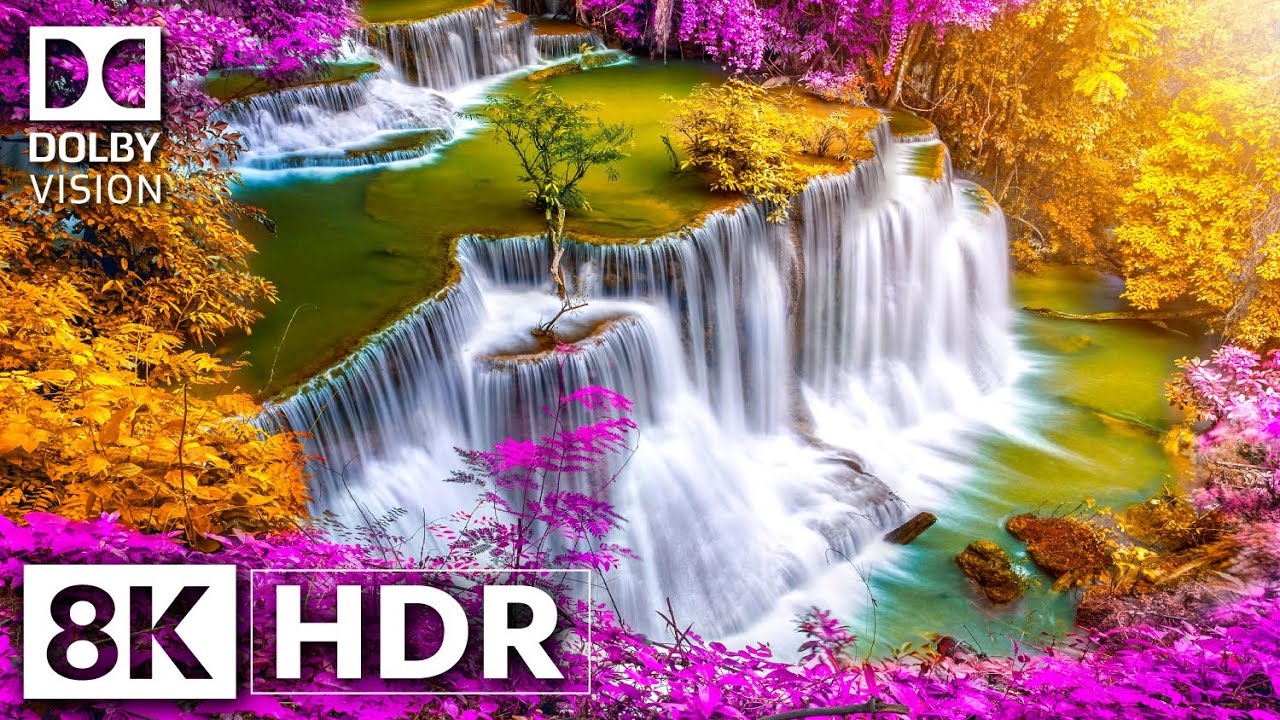 Hidden Wonders Of Earth Dolby Vision邃 Hdr 8k 240 Fps