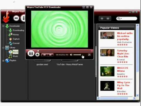 How To Use Youtube Flv Downloader Youtube