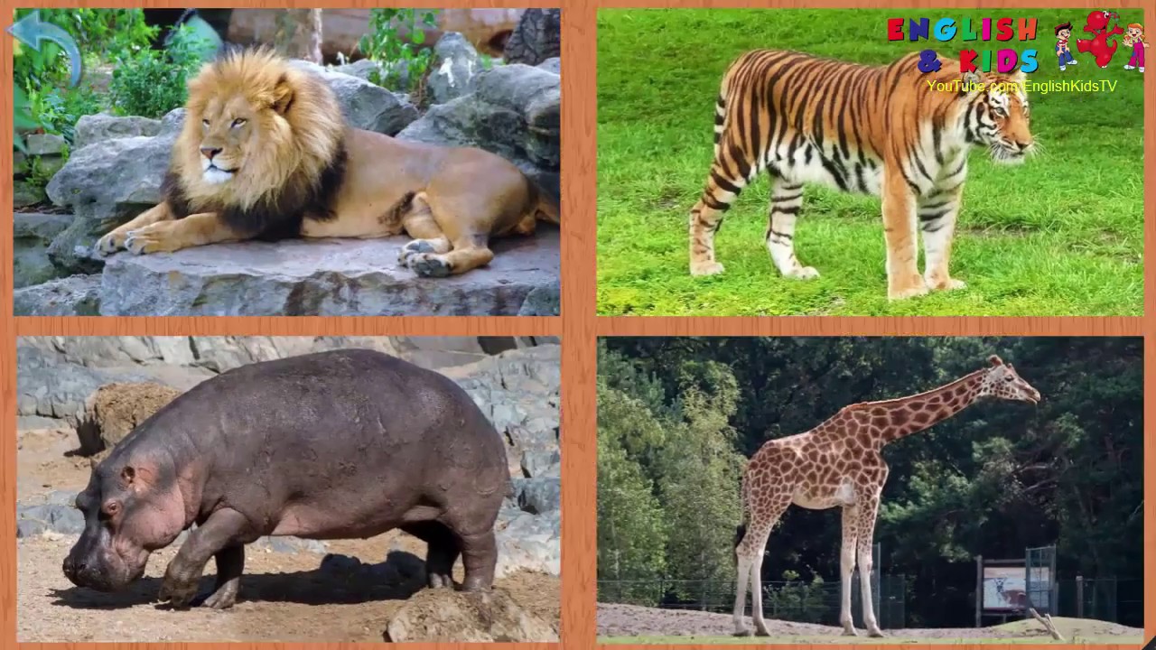Animals Sounds Names Sounds Of Animals For Kids Learning Animals