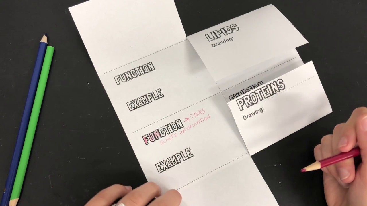 Organic Compounds Foldable Instructions Youtube
