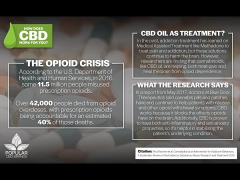 Cbd Oil Benefits Explained Youtube