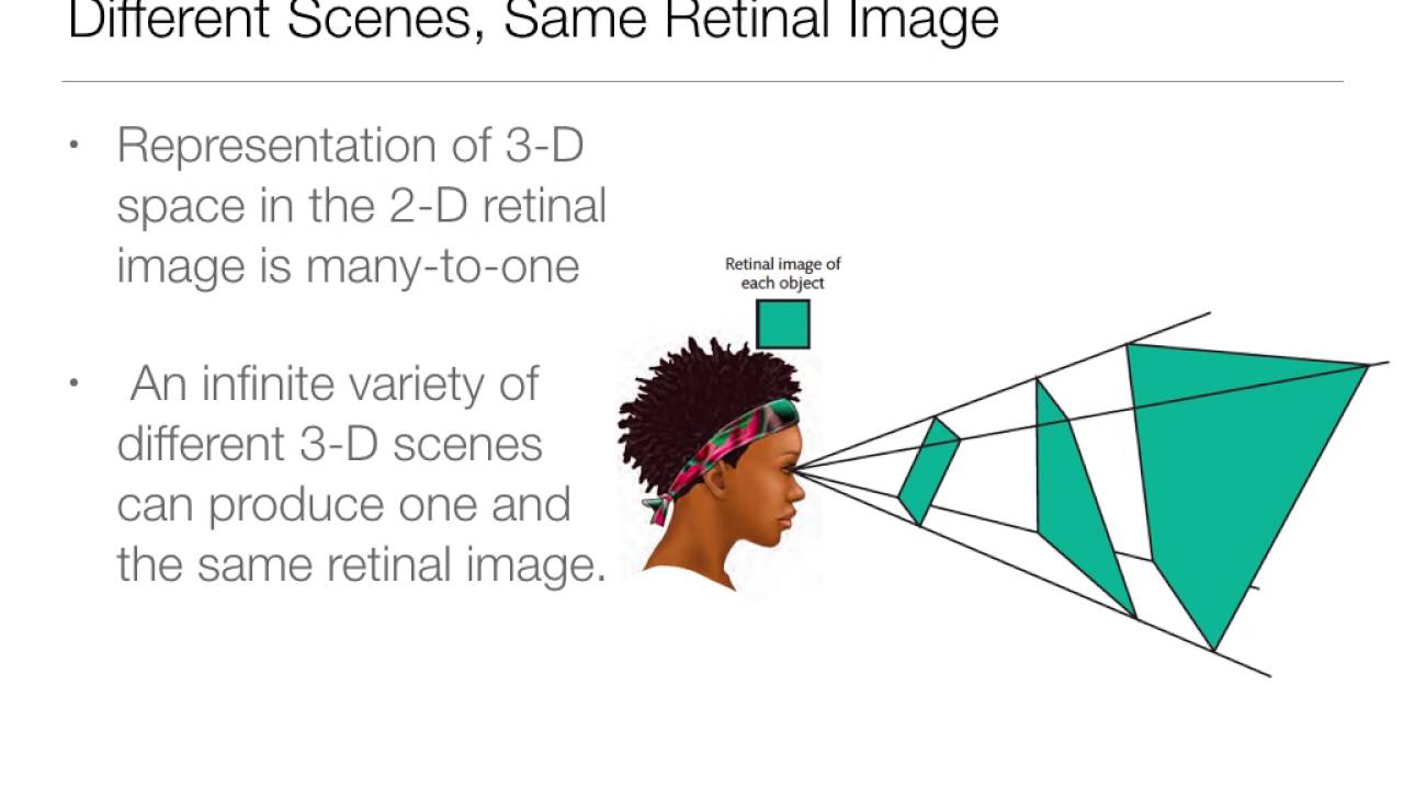 Perception 6 1 Depth Perception Overview And Oculomotor Cues Youtube