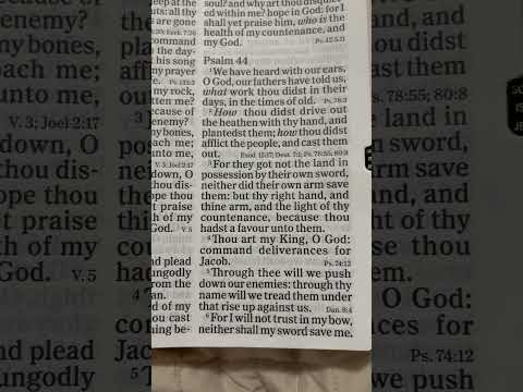 Holy Bible God Will Destroy My Enemies Those Who Rise Up Against Me